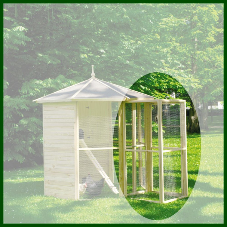 Promadino 82 cm x 77 cm Eingangsschleuse für achteckige Voliere | Wayfair.co.uk